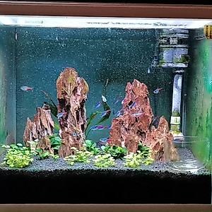 AWXZOM 4.4lb+ Natural Dragon Rock Carefully Selected Mixed Sizes, Decorative Aquarium Rocks, Aquarium Stones for Fish Tank