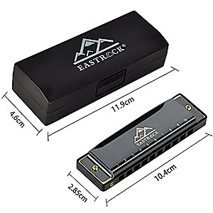 EastRock Blues Harmonica Mouth Organ 10 Hole C Key with Case, Diatonic Harmonica for Professional Player, Beginner, Students gifts, Adult, Friends, Gift Black