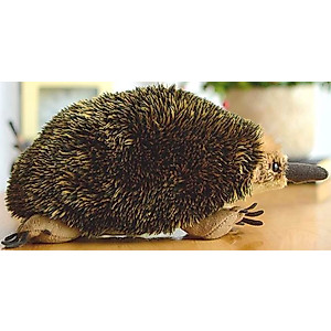 TAMMYFLYFLY Lifelike Echidna Plush Stuffed Animal Toy Echidna Animal Model (20CM)