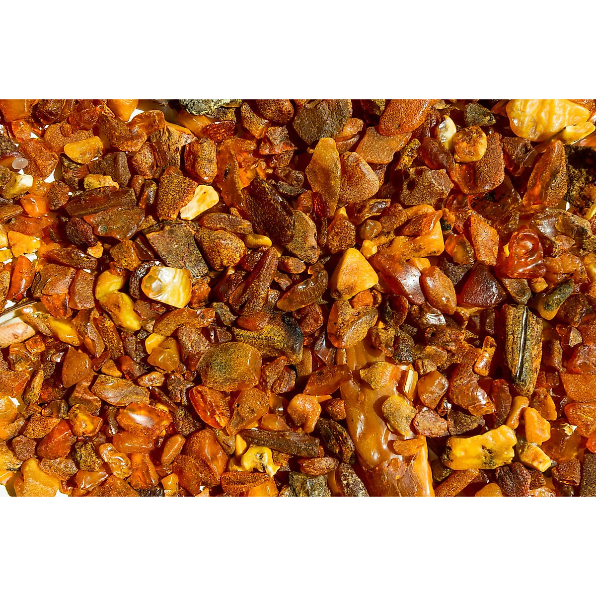 Ladybug Spot Luxurious Rich Classic Long Lasting Masculine Natural Solid Cologne Infused with Essential Oils for Men & Woman 1 OZ Large Size (Sandalwood & Patchouli)