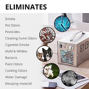 Stainless Steel Commercial Ozone Generator UV Air Purifier 12000 mg/hr Industrial