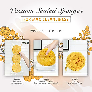 Spongentle Deep Cleansing Body Loofah Sponge, Natural Colors, for Bath and Shower, Multiple Textures for Gentle and Deep Exfoliation, Generous and Rich Lather, (Pack of 3)