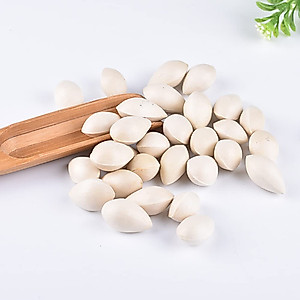 Dired Bai Guo Ginkgo Fruit Yin Xing,Ginkgo Biloba Whitenut Ginkgo Nuts Bai Guo Semen Ginkgo Ginko Nut Ginkgo Semen (250 g(0.55 lbs))