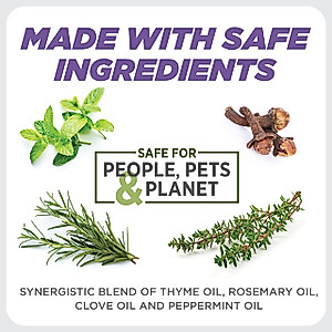 Earth's Ally 3-in-1 Plant Spray | Insecticide, Fungicide & Spider Mite Control, Use on Indoor Houseplants and Outdoor Plants, Gardens & Trees - Insect & Pest Repellent & Antifungal Treatment, 24oz