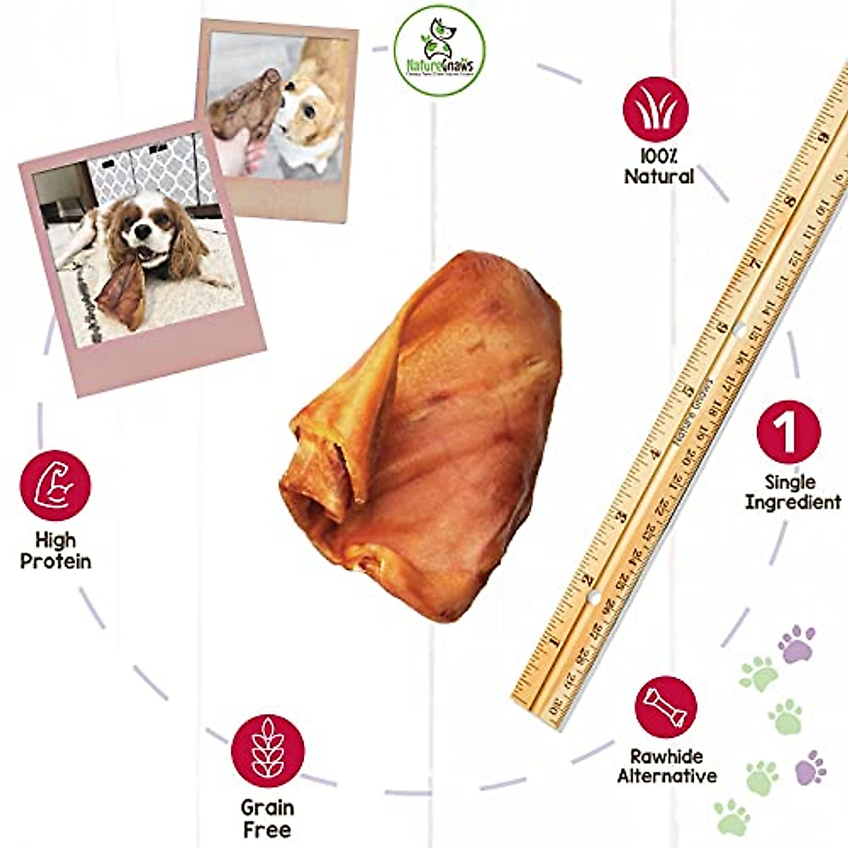 Nature Gnaws Pig Ears for Dogs - Premium Natural Pork Dental Chews - Thick Long Lasting Dog Chew Treats for Aggressive Chewers - Rawhide Free 8 Count (Pack of 1)