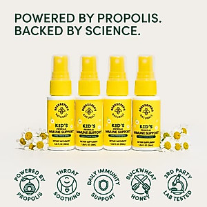 Beekeeper's Naturals Propolis Throat Spray for Kids - 95% Bee Propolis Extract - Natural Immune Support & Sore Throat Relief - Has Antioxidants & Gluten-Free, 1.06 oz (Pack of 2)