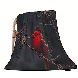 HGOD DESIGNS Red Bird Throw Blanket,Northern Cardinal Bird On The Tree Branch Soft Warm Decorative Throw Blanket for Bed Chair Couch Sofa 30"X40"