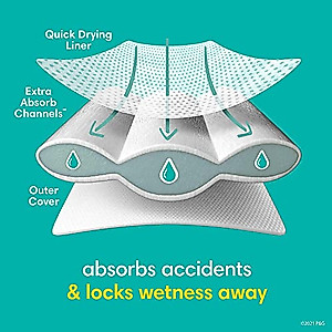 Pampers Easy Ups Training Underwear Boys, 3T-4T Size 5 Diapers, 66 Count (Packaging & Prints May Vary)