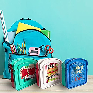 Set of 3 Food Storage Sandwich Containers, 2 cups / 16 oz / 490 ml - 3 Different Designs. Great for Meal Prep. Kids or Adult Lunch Box - BPA Free and Reusable