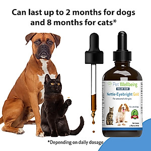 Pet Wellbeing Nettle-Eyebright Gold for Dogs & Cats - Vet-Formulated - Seasonal Sneezing, Itching, Watery Eyes - Natural Herbal Supplement 4 oz (118 ml)