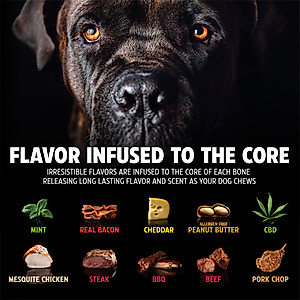Pet Qwerks Zombie BarkBone - Nylon Dog Bone for Moderate Chewers - Bacon Flavor - 4"