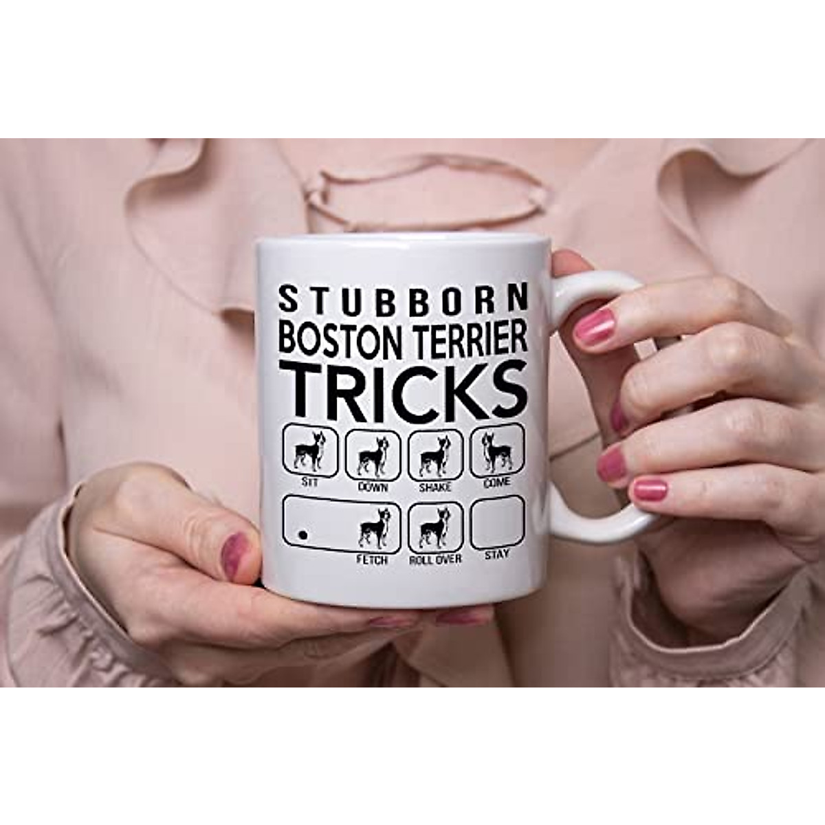 Stubborn Boston Terrier Tricks, Awesome Dog Fetch Mug, Dog Mom Dad, Paw Pet Lovers, Dog Trainer Cup, Coffee Dog Mug, Mothers Day, Fathers Day, Christmas Birthday Gifts