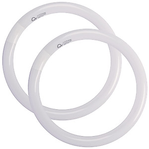 COOGGALAN FC12T9/DX 32W 12 inch T9 Circular Light Bulb Daylight, Round Fluorescent Circline Bulbs FC12 T9 32 Watts Kitchen and Bath, G10q 4 Pin Prong, 6500K, 2 Pack