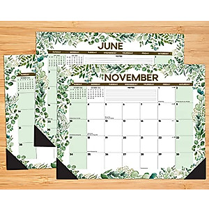 Willow Creek Press Eucalyptus & Succulents Monthly 2024 Deskpad Calendar (22" x 17")