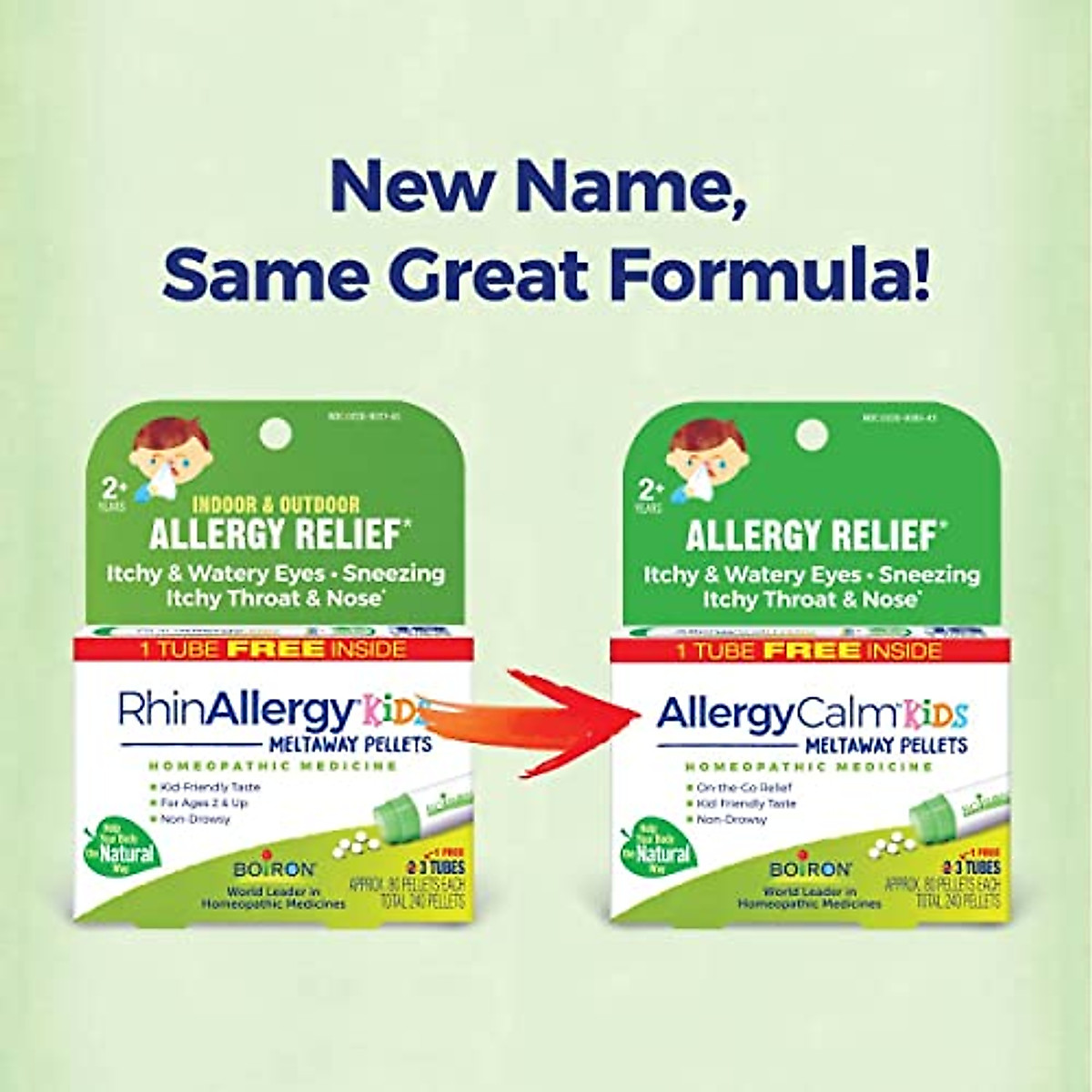 Boiron AllergyCalm Kids Pellets for Relief from Allergy and Hay Fever Symptoms of Sneezing, Runny Nose, and Itchy Eyes or Throat - 240 Count