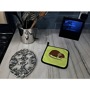 Caroline's Treasures BB7705PTHD Coypu Nutria River Rat Green Pair of Pot Holders Kitchen Heat Resistant Pot Holders Sets Oven Hot Pads for Cooking Baking BBQ, 7 1/2 x 7 1/2