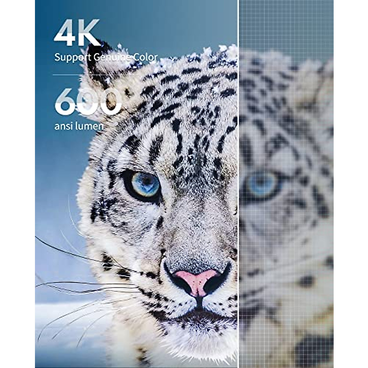 5G WiFi Bluetooth Projector Native 1080P, GooDee Outdoor Movie Projector with 300" Display Video Projector with Zoom & 4 Point Keystone for TV Stick, iOS, Android Dolby Audio & 4K Projector Support