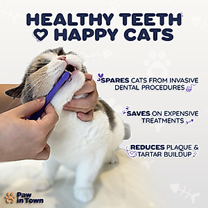 PAWINTOWN Soft Cat Toothbrush Set – Suitable for Dogs – Food Grade Silicone – Cat Dental Care, Cat Teeth Cleaning, Cat Tooth Brushing Kit (Tropical Teal)