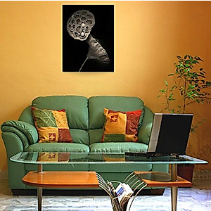 Imagekind Wall Art Print Entitled Lotus Pods II by Dawn Leblanc | 24 x 31