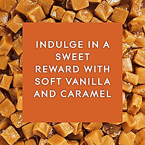 Glade Candle Jar, Air Freshener, Vanilla Caramel Twist, 3.4 oz, 2 Count