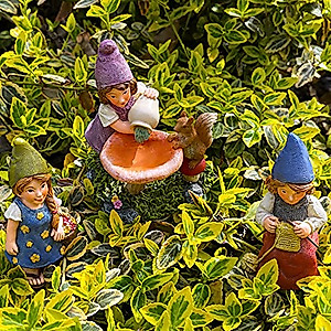 Mood Lab Miniature Garden Gnomes - Lady Gnomes Kit of 3 pcs - Figurines & Accessories Set - Outdoor or House Decor