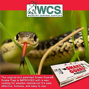 Snake Guard® Snake Trap by Wildlife Control Supplies – Weather Resistant Zero Contact Snare – Safe & Effective - for Commercial & Residential Use – Great for Basements, Garages & Sheds