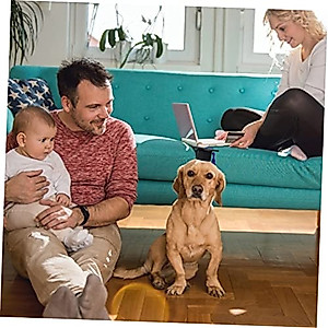 Mipcase 4pcs Bearded Kitten Graduate Photo Hamsters Props Birds Accessories Costume Hedgehogs Pets Hat Mini Guinea Adjustable Pigs Hats Turtles Tassel Dragons Grade Dress Pet Holiday