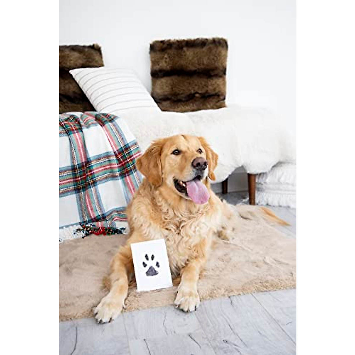 Pearhead Pet Clean-Touch Ink Pad, Medium/Large, Black Ink Pad for Cats or Dogs, Pet Owner, Pet Owner Must Have Item, Pet Memory Keepsake, for Medium to Large Pets