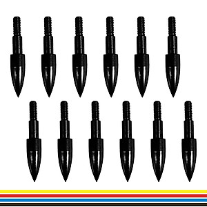 12pcs Archery Arrow Tips 100 Grain Field Tips 5/16 Inch Screw in Bullet Points, Archery Target Crossbow Practice Tips for Arrows Recurve Bow Compound Bow, Hunting Bow and Arrow Target Practice
