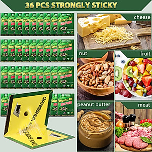 Qualirey 36 Pcs Large Mouse Traps Rat Glue Trap Bulk Adhesive Mouse Sticky Traps Glue Board Sticky Pads for Mice Rat Capturing, House Indoor Outdoor Use