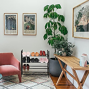 LNYZQUS 4-Tier Expandable Shoe Rack,Stackable Sturdy Shoe Shelf Shoes Stand,Metal Slim Closet Shoe Racks Organizer Adjustable Long Sneaker Rack For Closet Entryway-Black