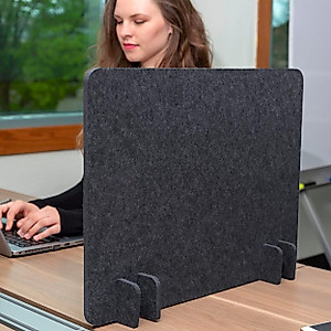 Stand Up Desk Store ReFocus Raw Noise and Distraction Reducing Freestanding Acoustic Desk Divider Mounted Privacy Panel (Anthracite Gray, 20.9" x 16")