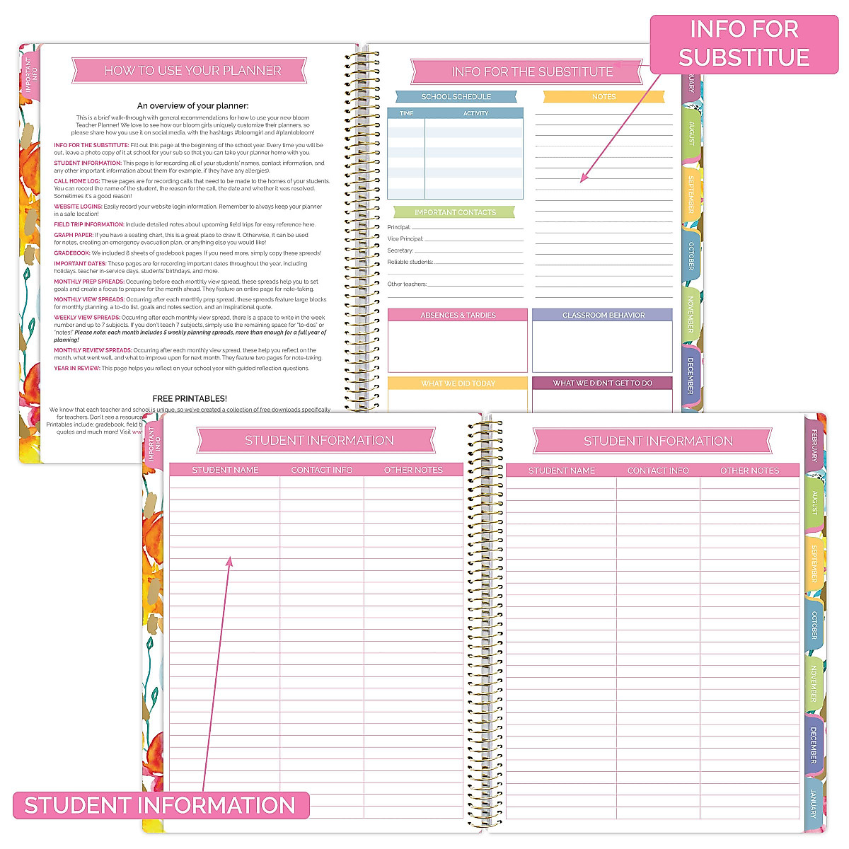 bloom daily planners New Undated Academic Year Teacher Planner & Calendar with Frosted Protective Cover - 7 Period Lesson Plan Organizer Book (9" x 11") - Teacher with a Plan