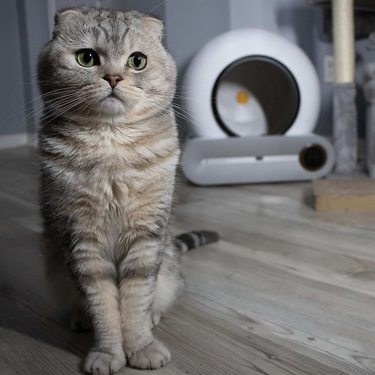 PurrPotty: Self Cleaning Litter Box, Automatic Cat Litter Box for Multiple Cats- App Control and Large Capacity Cat Litter Box
