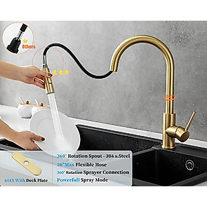 Havin Gold Kitchen Faucet with Pull Down Sprayer, High Arc Stainless Steel Material, with cUPC Ceramic Cartridge,with 10" Deck Plate,Fit for 1 or 3 Holes Kitchen Sink or Laundry Sink,Brushed Gold