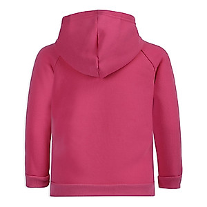 Disney Princess Girl’s 2 Piece Zip Up Hoodie, and Long Sleeve Shirt Set for Toddler and Little Kids