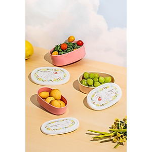 Skater My Neighbor Totoro Food Storage Container with Lids 3pc Set - Authentic Japanese Design - Durable, Dishwasher Safe - Totoro and Mei