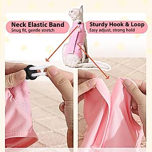 MiaoBarky Cat Recovery Suit Female to Prevent Licking Scratching, Kitten Onesie for Cats After Surgery Surgical Abdominal Wound with Adjustable Drawstrings, Cat Cone Alternative