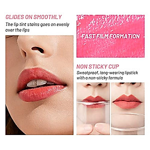 FREEORR 5 Colors Lip Tint Stain Set, Blusher Water Tint Makeup, Lip Stain Waterproof Long Lasting, Hydrating Fruity Dyeing Liquid Tint For Lips, Lip Tint For Girls and Women