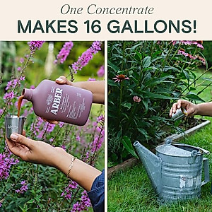 Arber Organic Liquid Concentrate for Indoor and House Plants | Natural Gardening (Organic Fungicide)