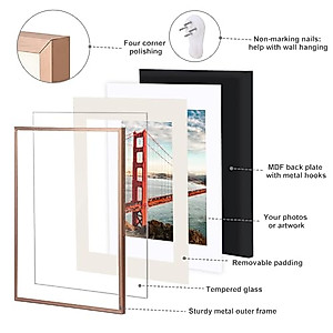 Fixwal 11 x 14 Aluminum Picture Frame, Metal Rose Gold Frame Tempered Glass with Mat for Wall Display, Wedding Table Numbers (Rose Gold, 1-Pack)
