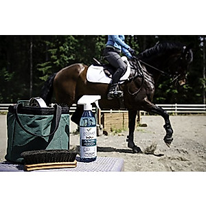 ECOVET Horse Fly Spray Repellent/Insecticide (Made with Food Grade Fatty acids), 18 oz