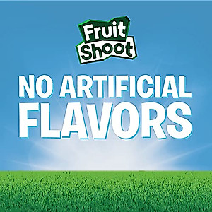 Fruit Shoot, Berry Burst, 10.1 Fl Oz Bottles (Pack of 24)