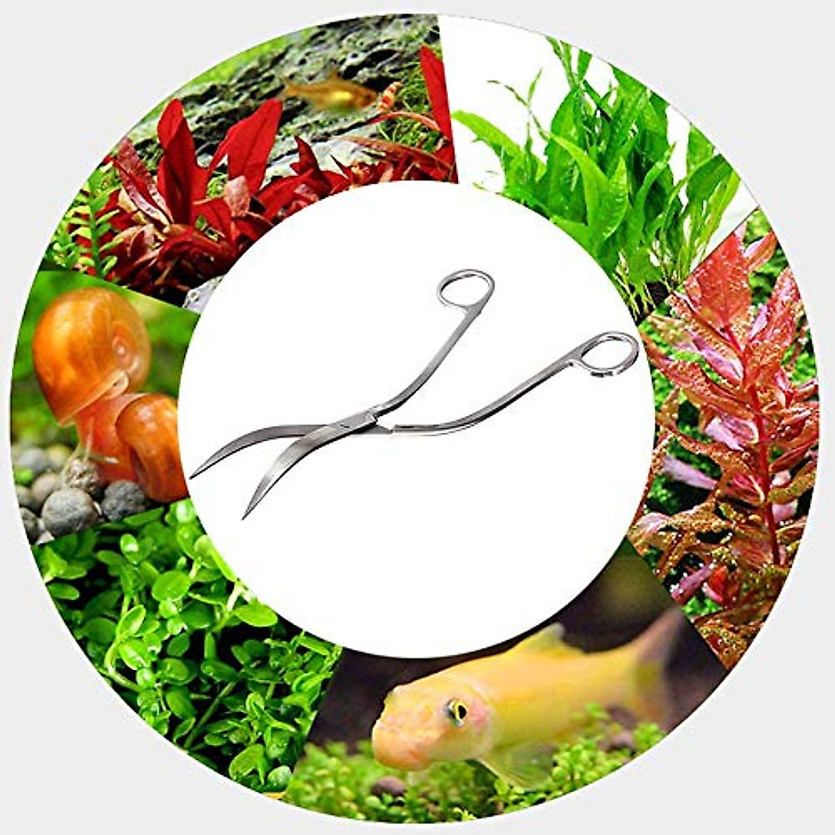 JIAYOUXILE Aquarium Scissors-Aquarium Fish Tank Stainless Steel Mirror Wave Scissors ,Professional Water Grass Scissors Landscape Maintenance Tools ,Perfect for Aquarium TankAquarium Plant Tool .
