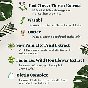 Reviv3 Procare Biotin for Hair Follicles – Biotin Hair Growth Complex Protects from UV Rays – Hair Root Booster for Natural & Color Treated Hair – Hair Care Products for Women w/Thinning Hair (1.7 oz)