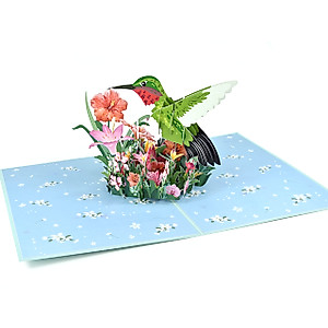 Hummingbird Pop Up Card, Birthday Card, Mother's Day Card, Summer Card, Thinking of You, Bird Lovers