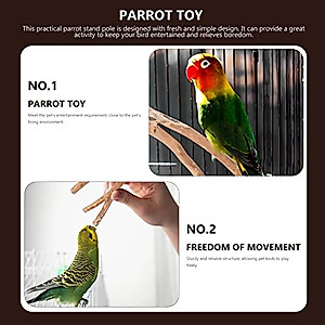 TEHAUX Parakeet Toys 2PCS Bird Parrot Perch Stand Set- Natural Wood Bird Parrot Stand Branches Fork Perch Rod Stand for Small Parakeets Budgies Cockatiels Conure Lovebirds Bird Cage Accessories