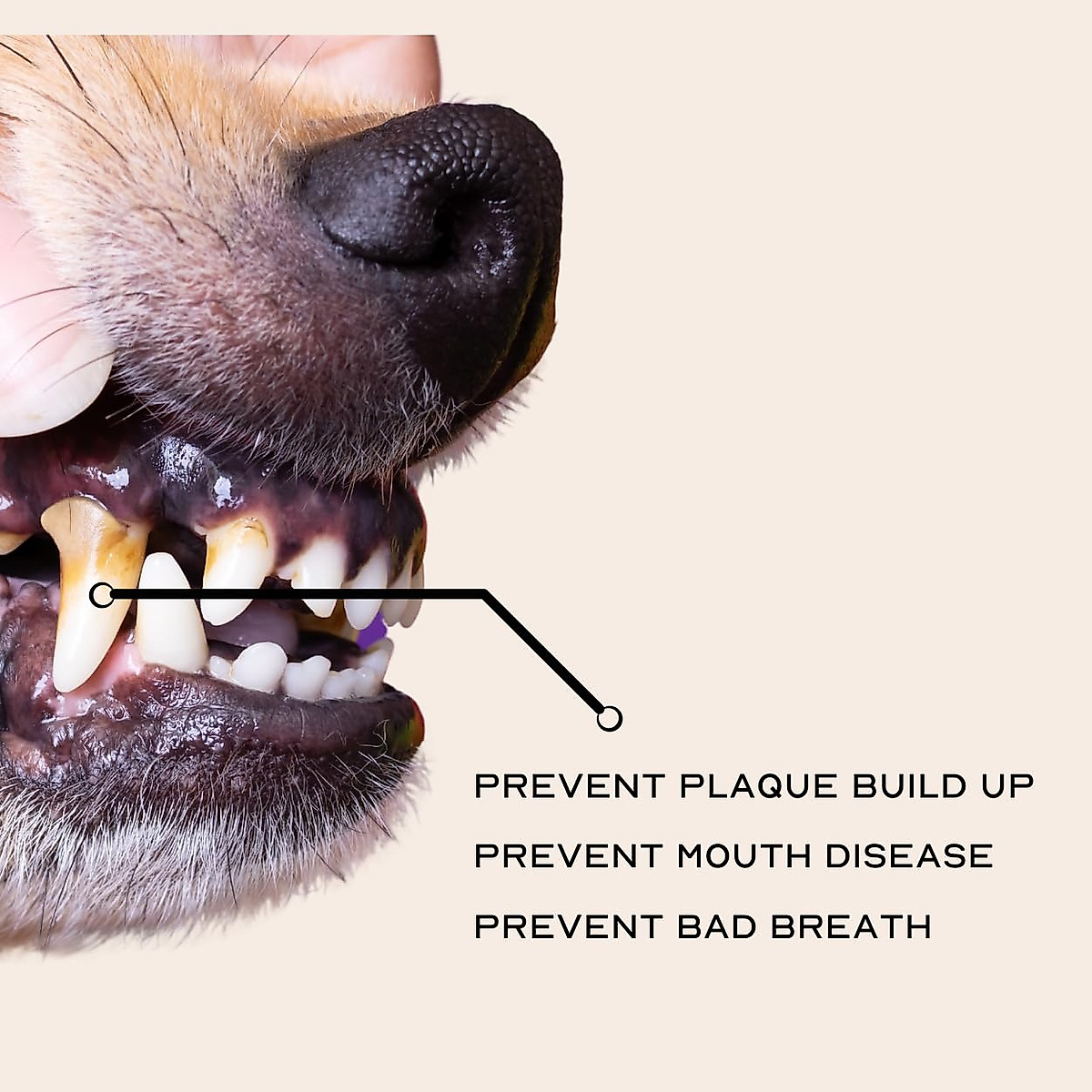 pupwell Puppy Breath Daily Dog Finger Toothbrush for Bad Breath, Removing Plaque and Tartar Buildup Made from Silicone (Slate Blue)