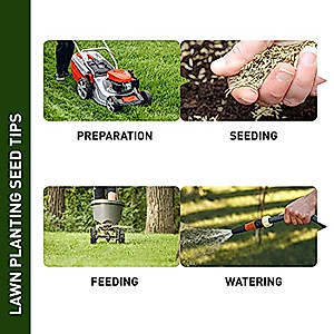 Hancock Seed Co. Highlander Turf Bermuda Grass Seed - 10 lbs.