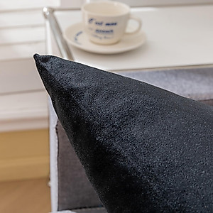 RainRoad Black Throw Pillows Covers Set of 2 Soft Velvet Decorative Pillow Covers 18x18 Inch for Couch Bed (Black, 18" x 18"(Pack of 2))